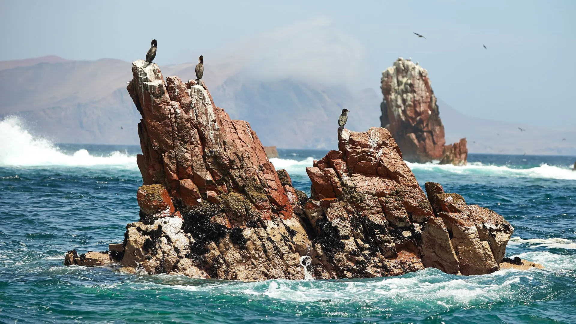 Tour Paracas: Islas Ballestas y Reserva Nacional